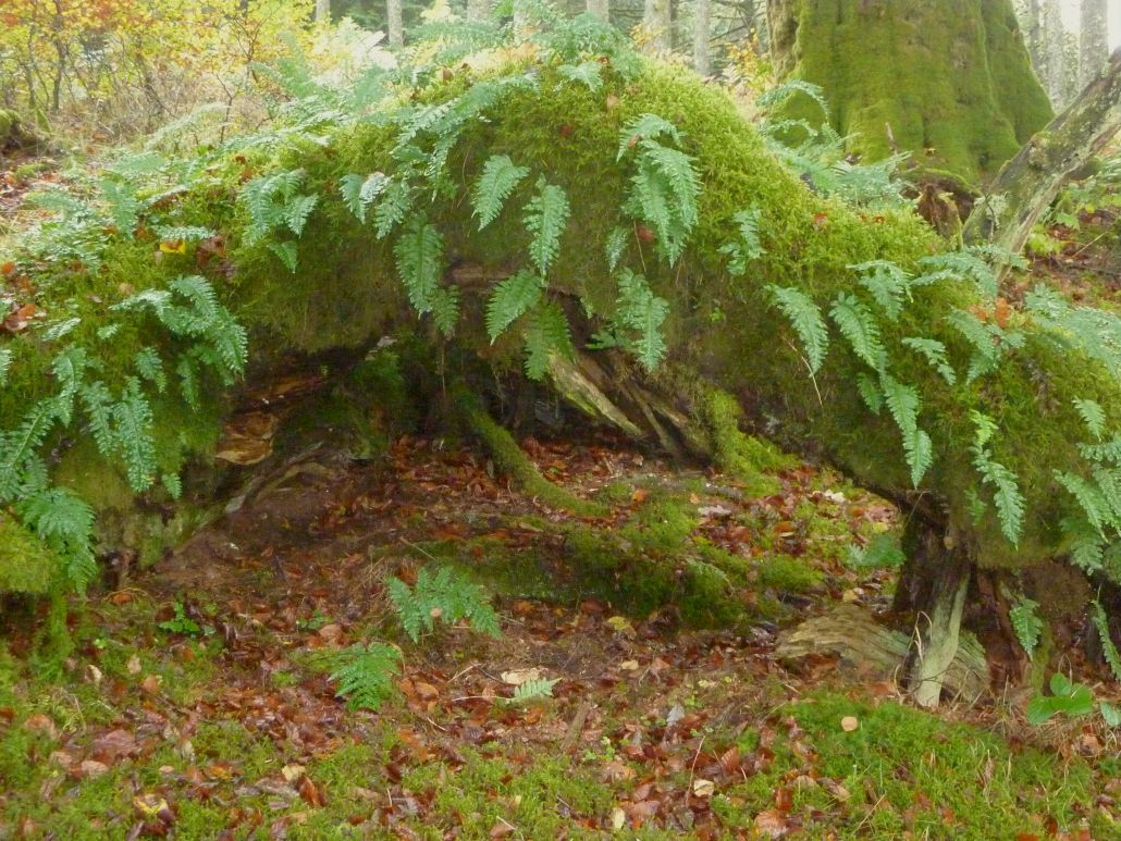 Holding Hands – Part Two – Going Postal