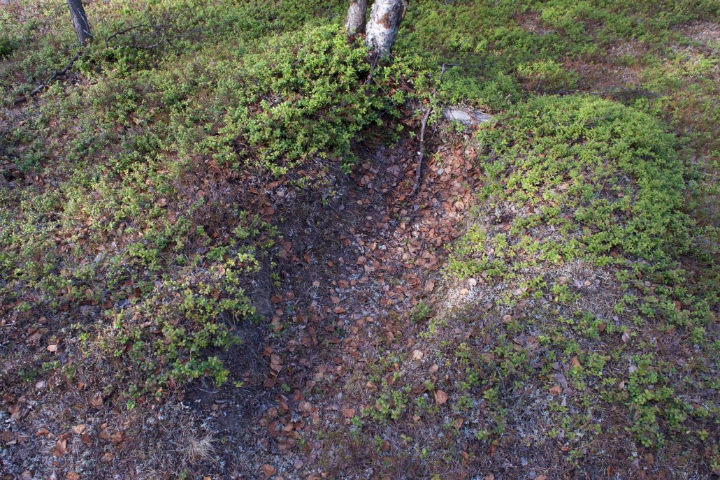 A Barren Shore, Part One – Going Postal