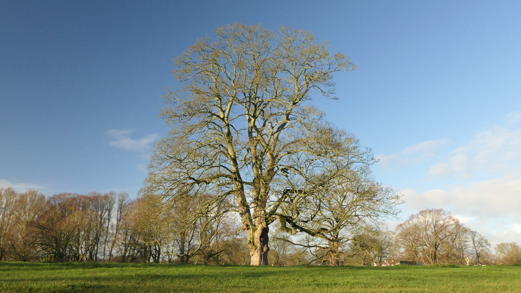 The Year Turns, Part 2 – Going Postal