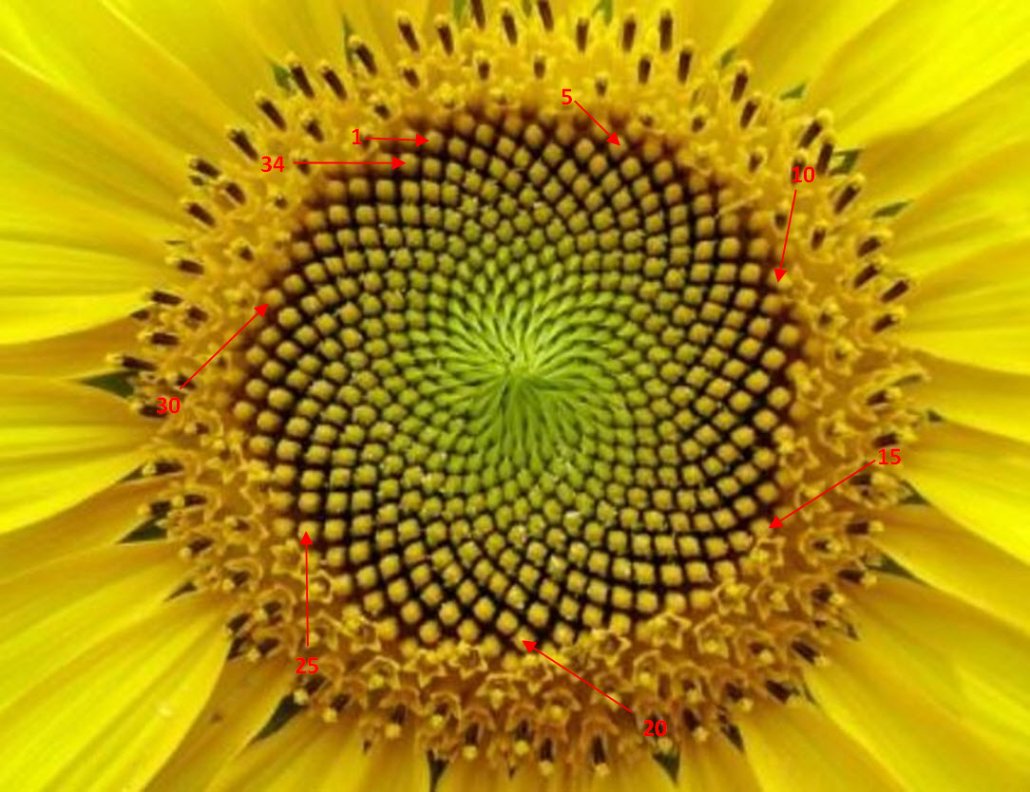 Chaos Theory – A gentle introduction – Going Postal