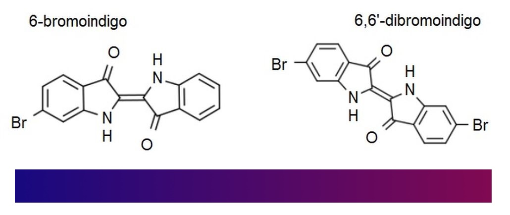 Elementary, my dear Watson – Br Bromine – Going Postal